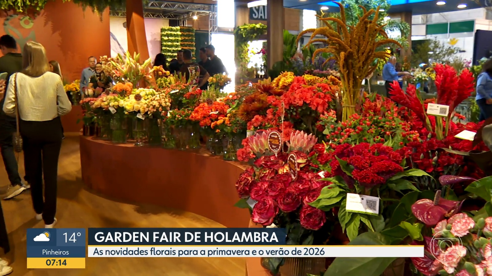 Cooperflora® – Especialista em Flor – Holambra-SP