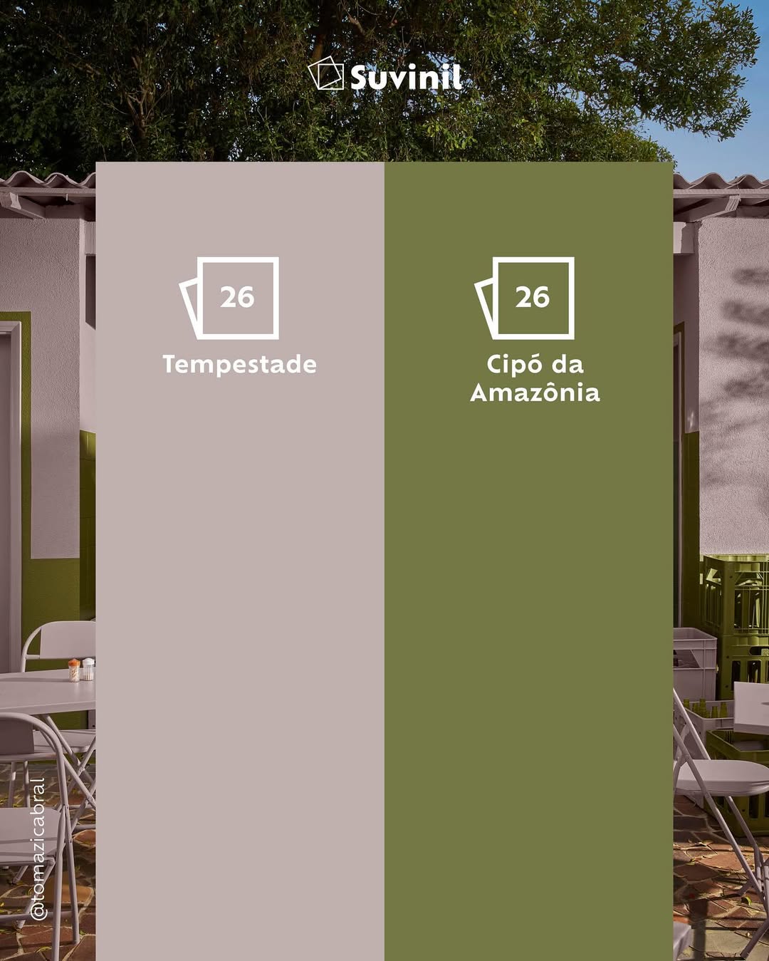 Cores do Ano Suvinil 2026: o diálogo com o setor de flores de corte ...